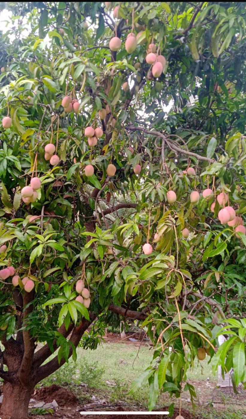 Farmlovers - Farm to Table Marketplace